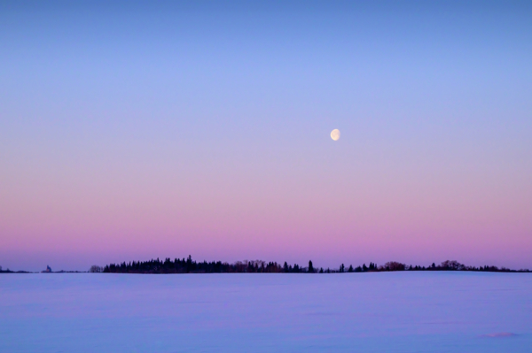 Shelly B Canadian Fine Art Nature Photographer - Official Website